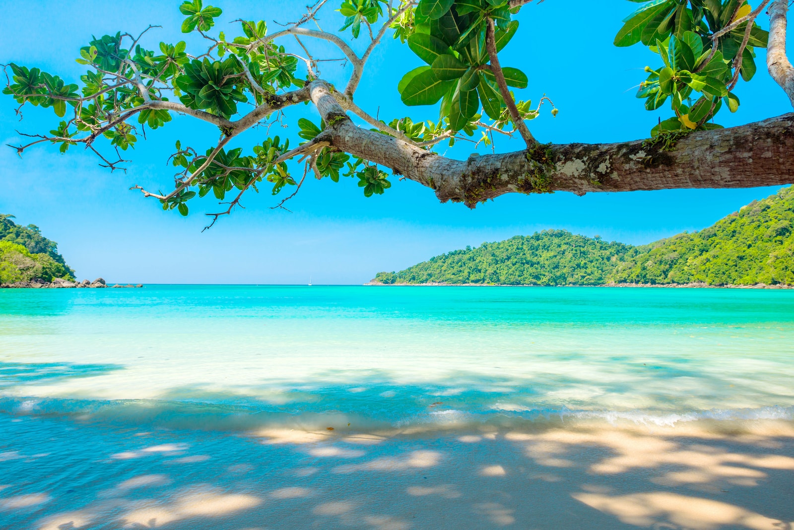 Is the Beach Really a Place for Healing? Discover Why in 2025 🌊 ...